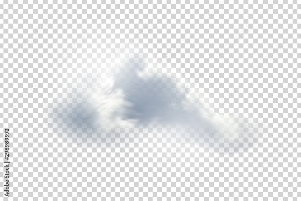 Vector realistic isolated cloud for template decoration and mockup ...