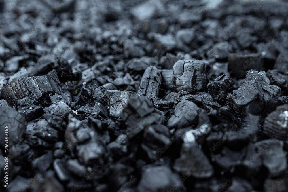 Fossil Fuels Coal Miners