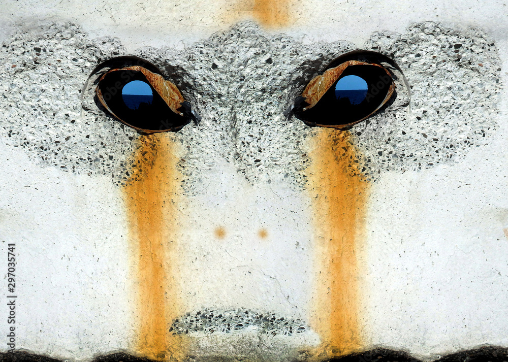 Pareidolia phenomenon observed on pipes on a concrete wall leading to ...