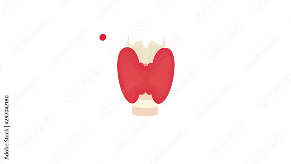 Healthy thyroid gland front view cartoon animation on white background ...