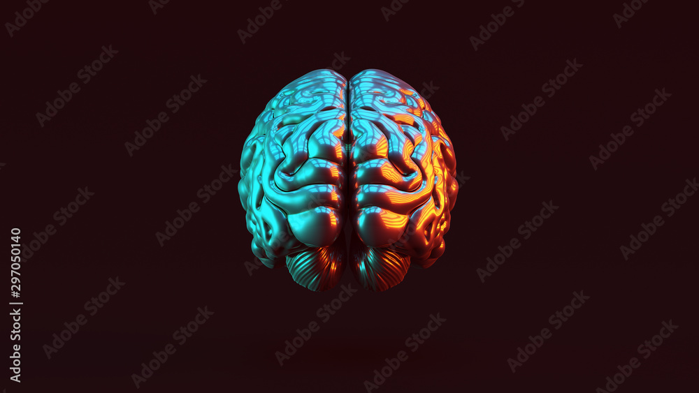 Silver Human brain Anatomical with Red Orange and Blue Green Moody 80s ...