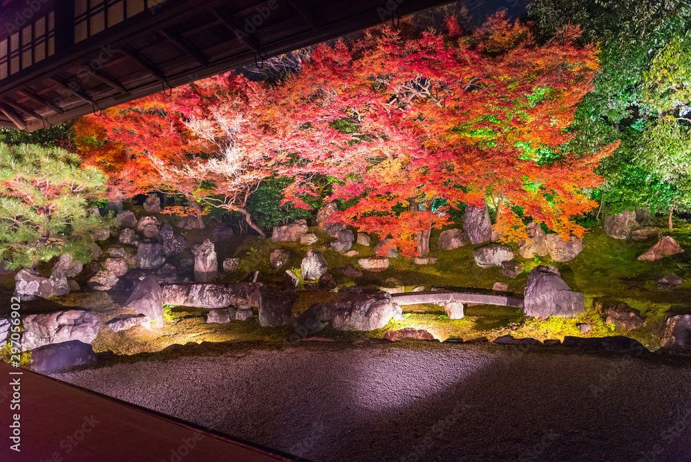 Light up at night, Autumn scenery of maple trees by majestic ...
