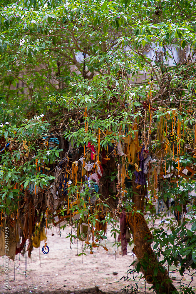 Indian tradition or worshiping tree, South Asian Temple, India. Stock ...