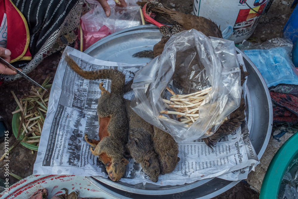 Wild animals on a local market of Laos Stock Photo | Adobe Stock