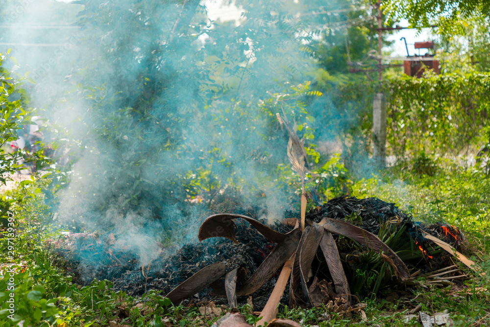 Burning garbage. grass and leaves burns in the garden. Fire and Smoke ...