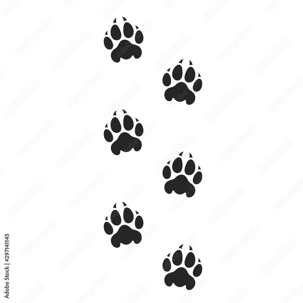 Real Tiger Paw Print