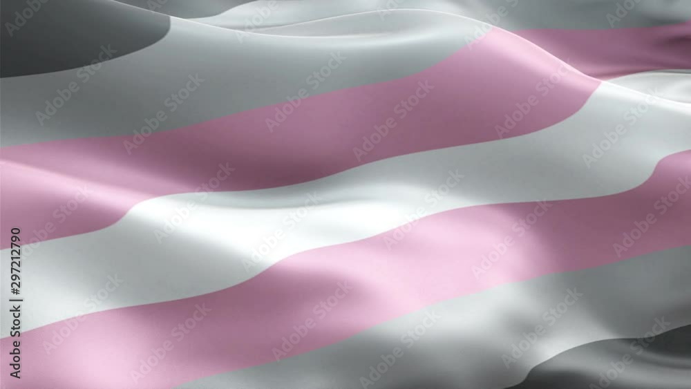 Demigirl Pride Flag Rainbow flag video waving in wind. gender different ...