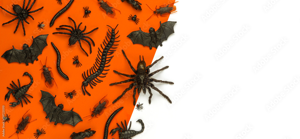 Black Halloween creepy crawly bugs and spiders on orange background ...