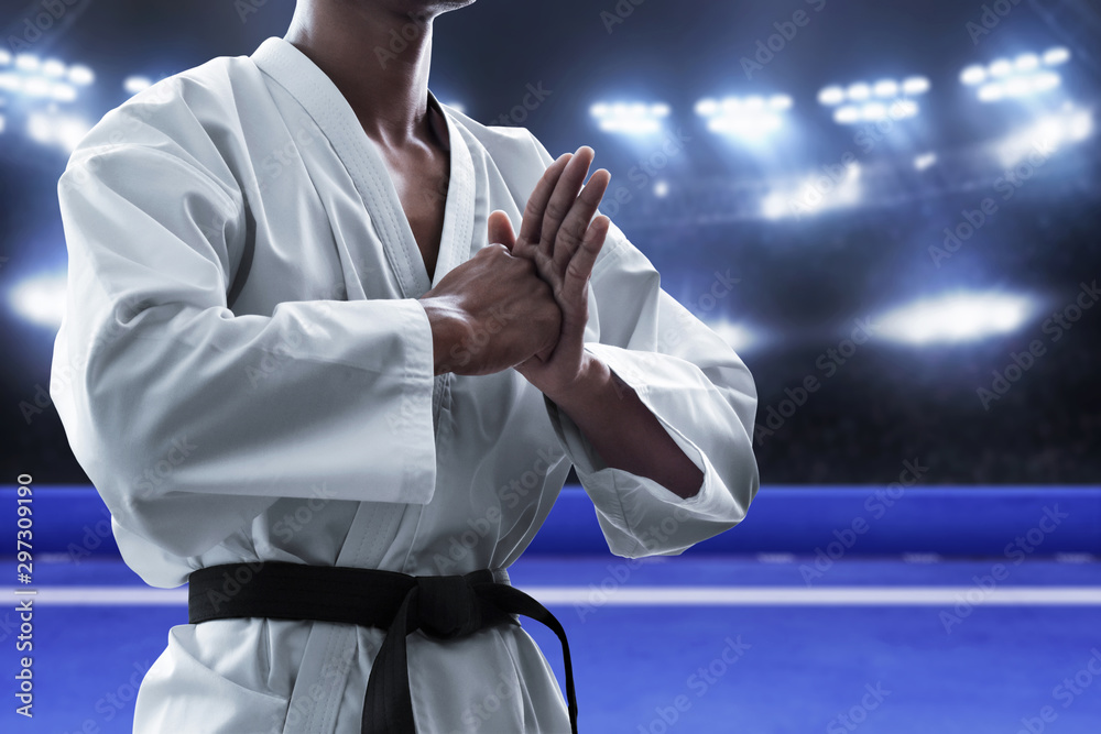 Karate martial arts fighter in arena Stock Photo | Adobe Stock