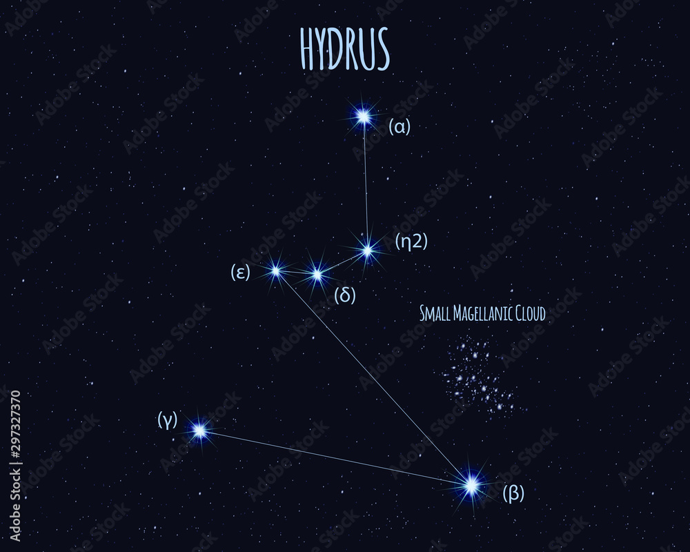 Hydrus (The Lesser Water Snake) constellation, vector illustration with ...