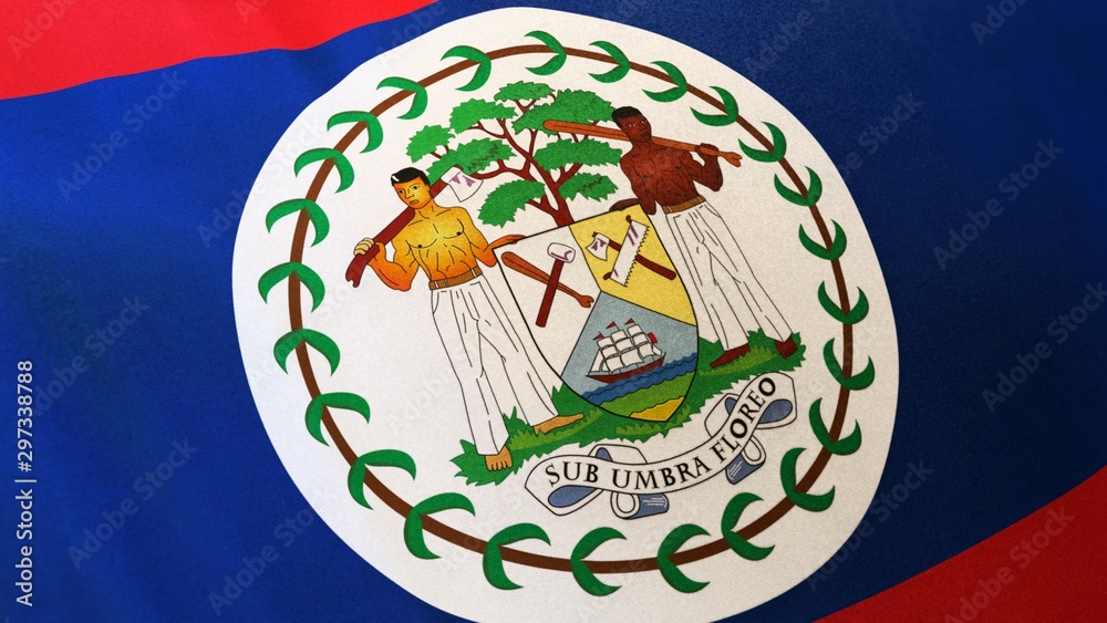 locked full-screen close shot of the national flag of Belize seamlessly ...
