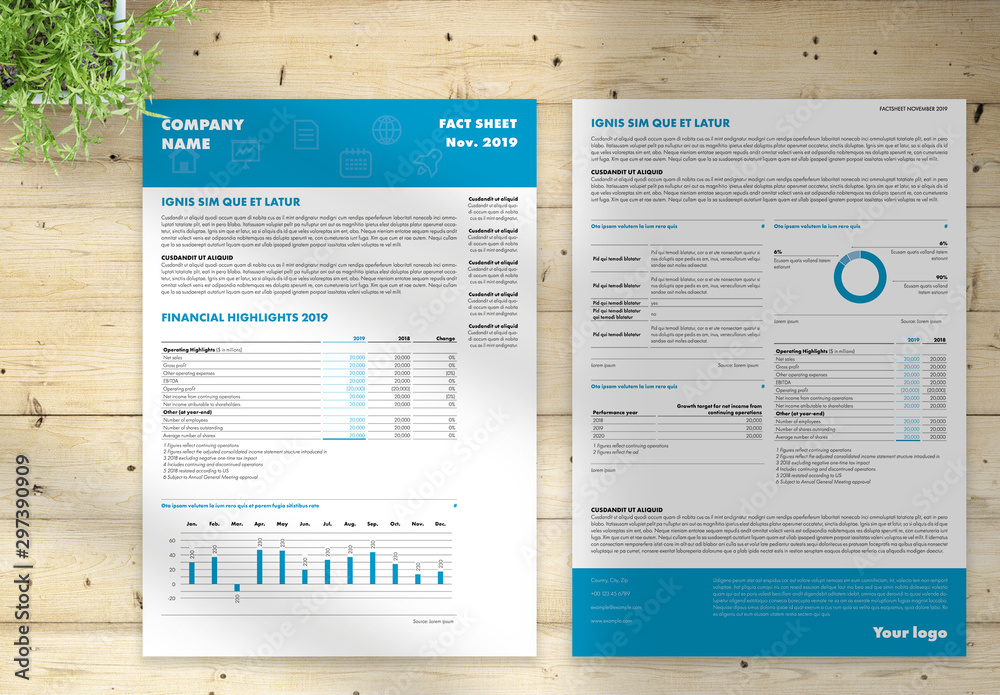 Flyer Layout with Blue Headers Stock Template | Adobe Stock