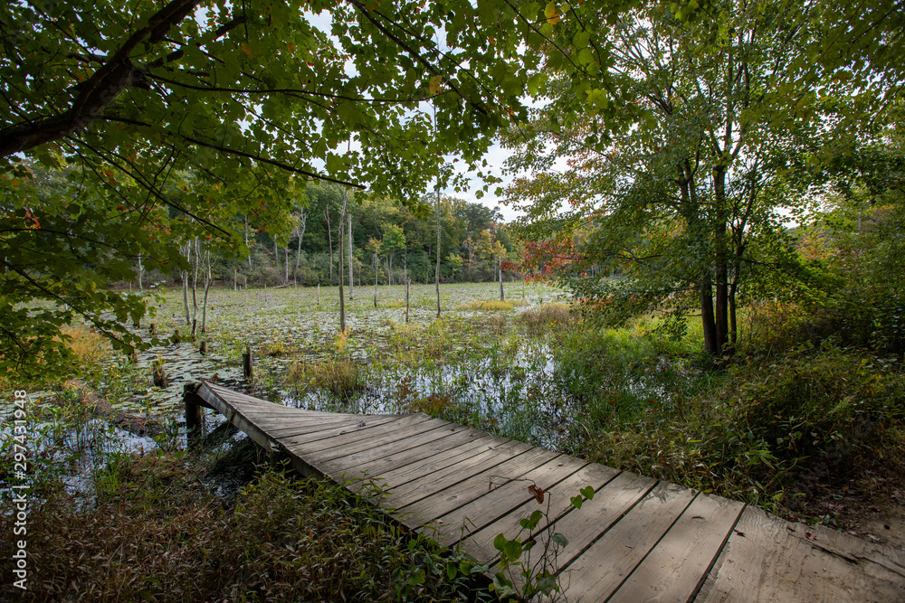 tidal pond along the chesapeake bay at calvert cliffs state park in ...