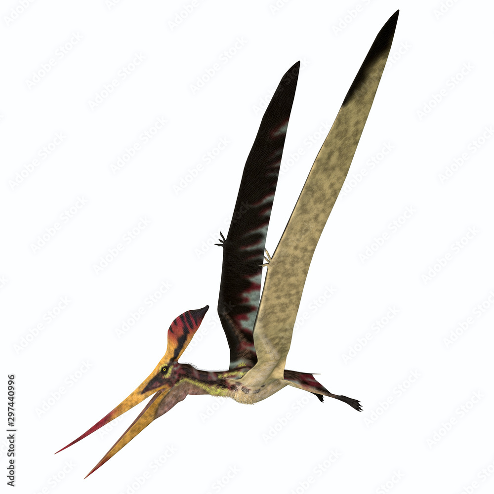 Pteranodon longiceps Flight - Pteranodon was a carnivorous Pterosaur ...
