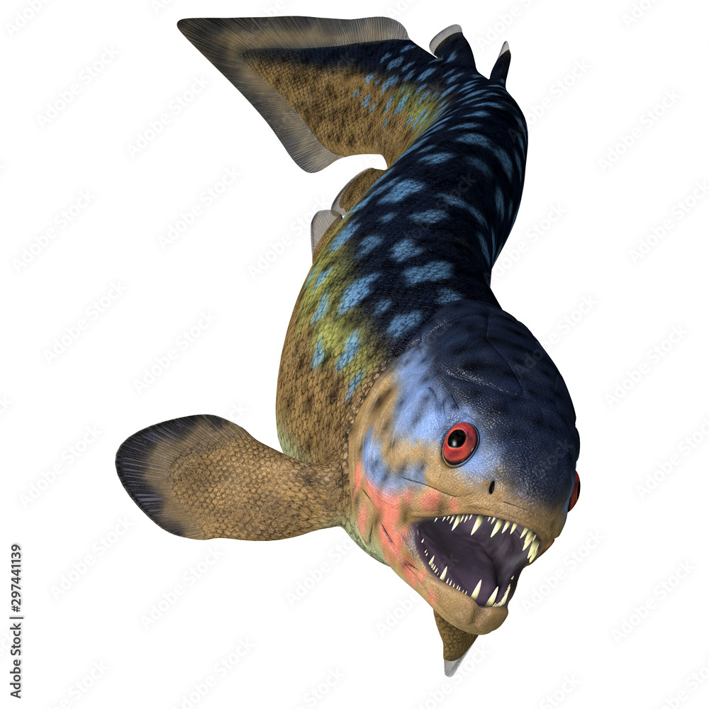 Rhizodus Fish Teeth - Rhizodus was a carnivorous predator fish that ...