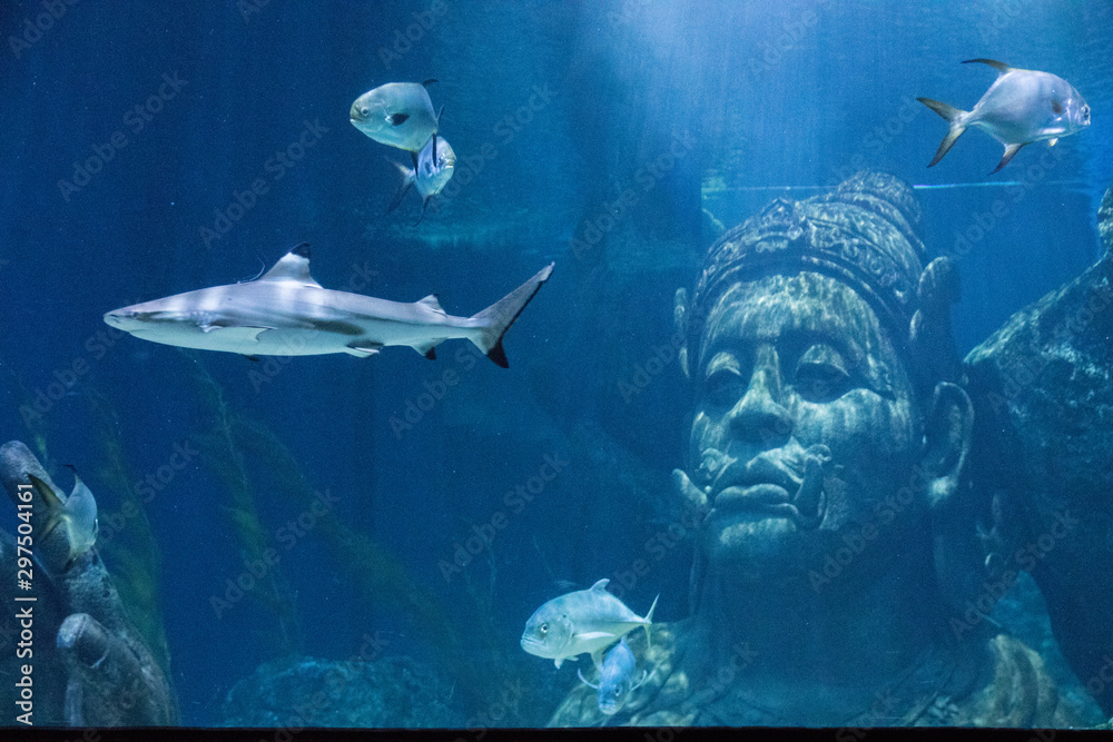 Siam Ocean World Bangkok