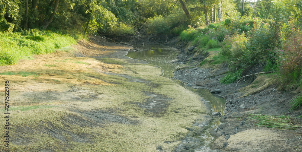 Drought and drying river Morava water, dry up the soil cracked ...