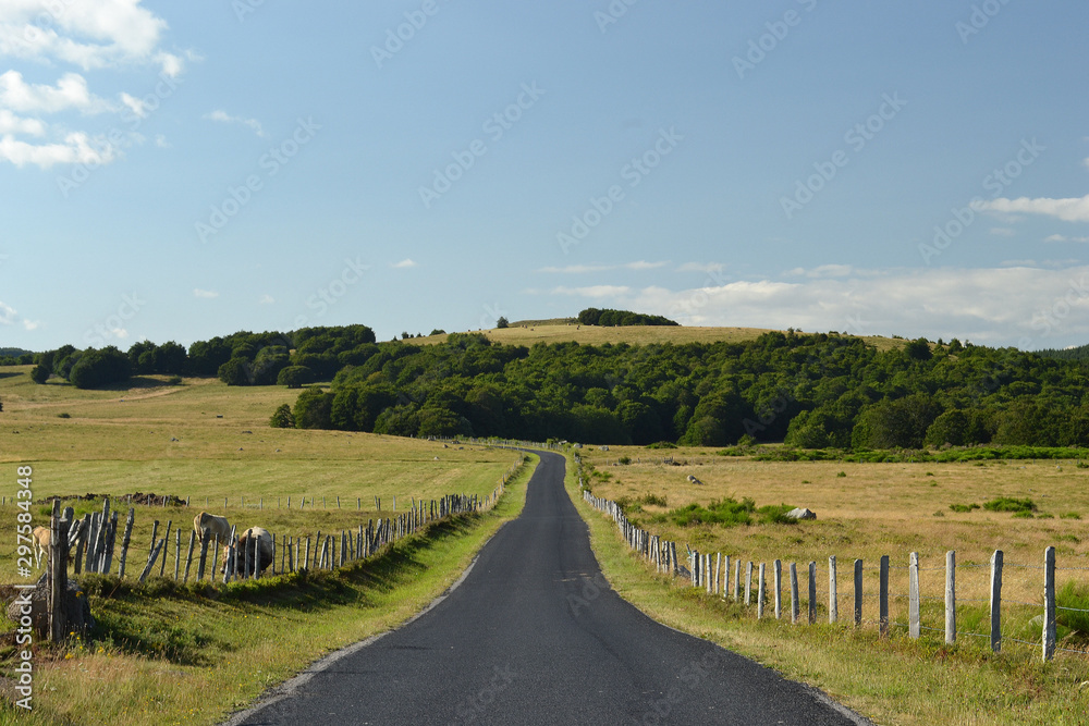 Buron et paysage du plateau de l'Aubrac dans l'Aveyron, Massif Central ...