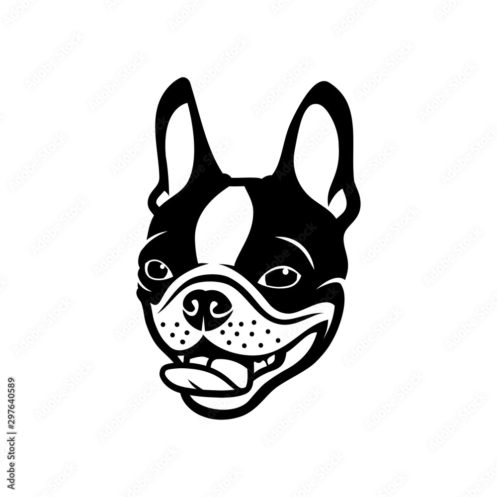 Boston terrier dog - vector illustration Stock Vector | Adobe Stock