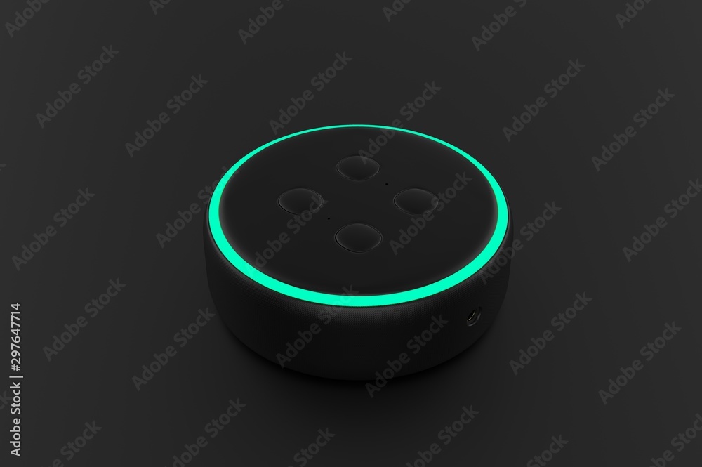 Blank voice controlled wire less connected speaker for customize ...