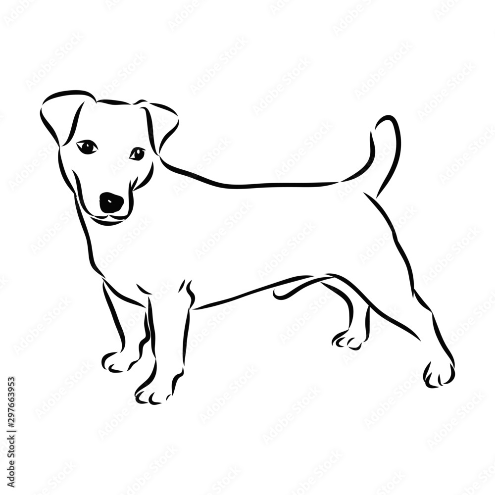 vector illustration of a dog, jack russell terrier sketch Stock Vector ...