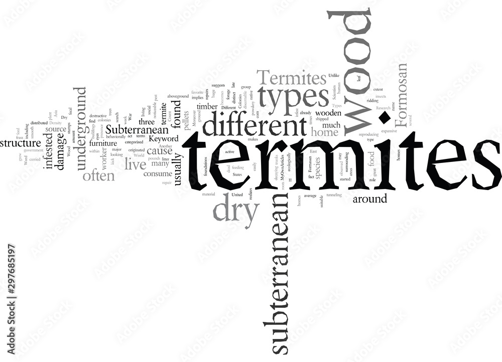 Poster Different Types of Termites – Wall Art | UkPosters
