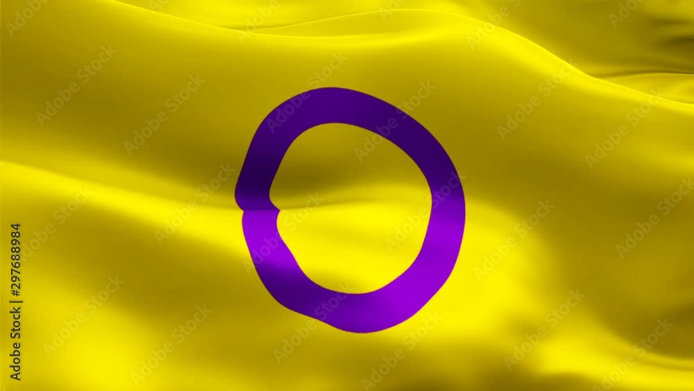 Rainbow Intersex Pride Flag video waving in wind. Intersex Flag ...