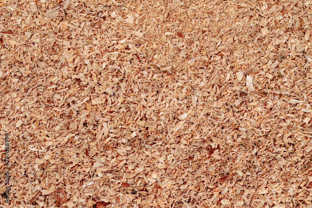Sawdust or wood dust texture background. Wood sawdust background ...