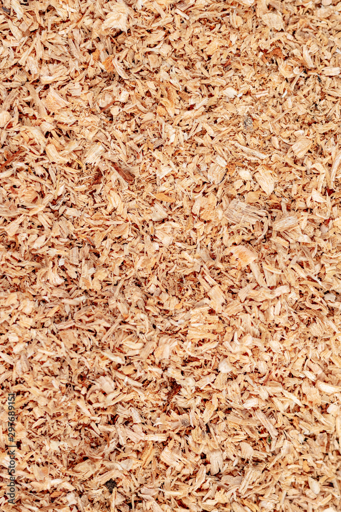 Sawdust or wood dust texture background. Wood sawdust background ...