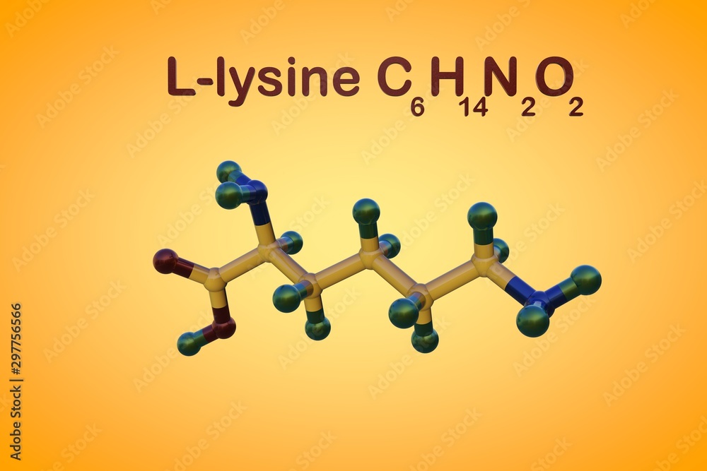Structural chemical formula and molecular model of l-lysine or lysine ...