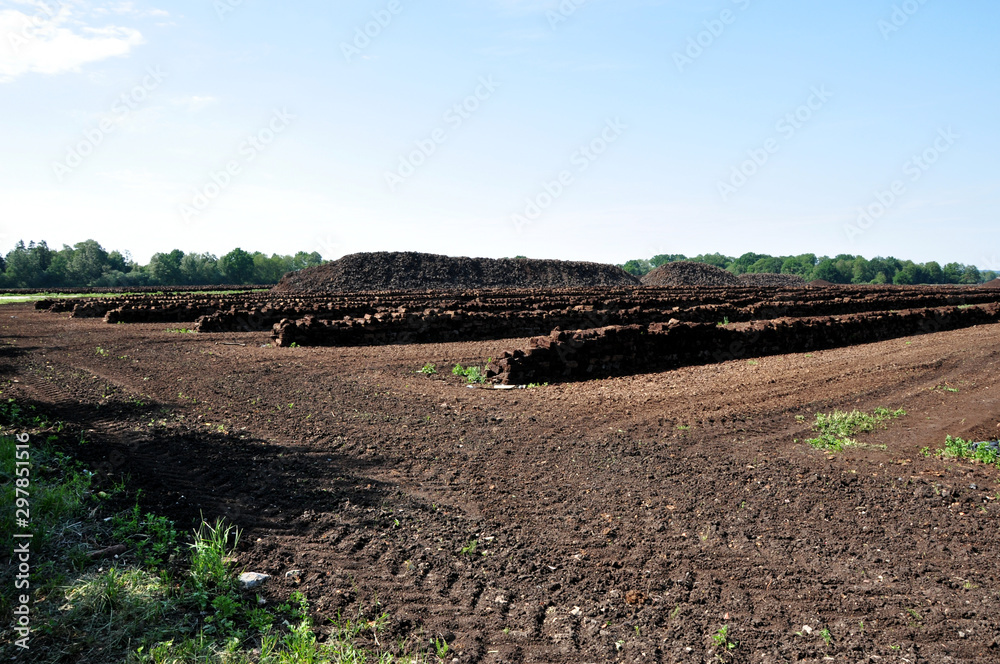 Torfabbau, tote Moore bilden fossile Brennstoffe, sind tote Biomasse ...