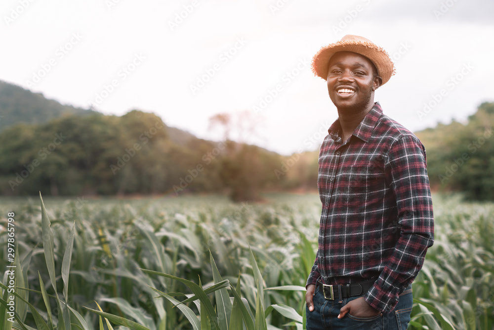 African farmer man stand at the green farm with happy and smile. Stock ...