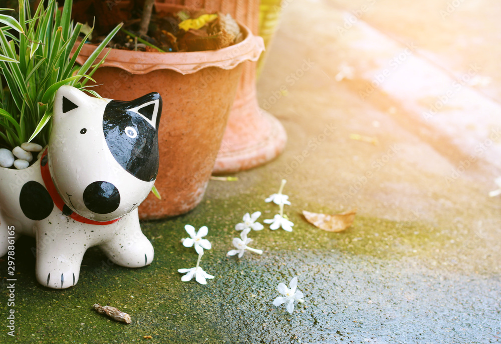 Porcelain smile dog in the garden with blur white flower on the ground ...