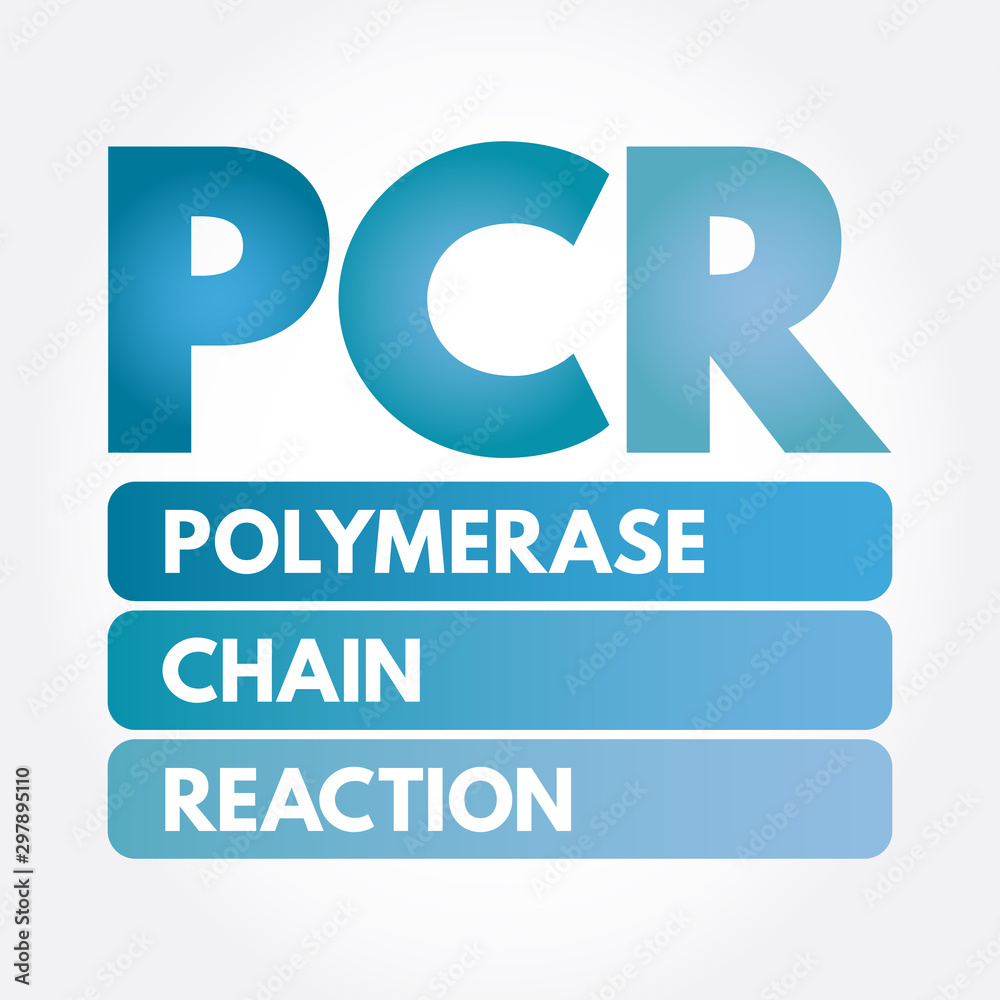 PCR - Polymerase Chain Reaction, acronym, medical concept background ...
