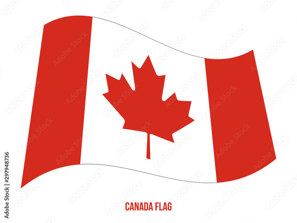 Waving Canadian Flag Vector