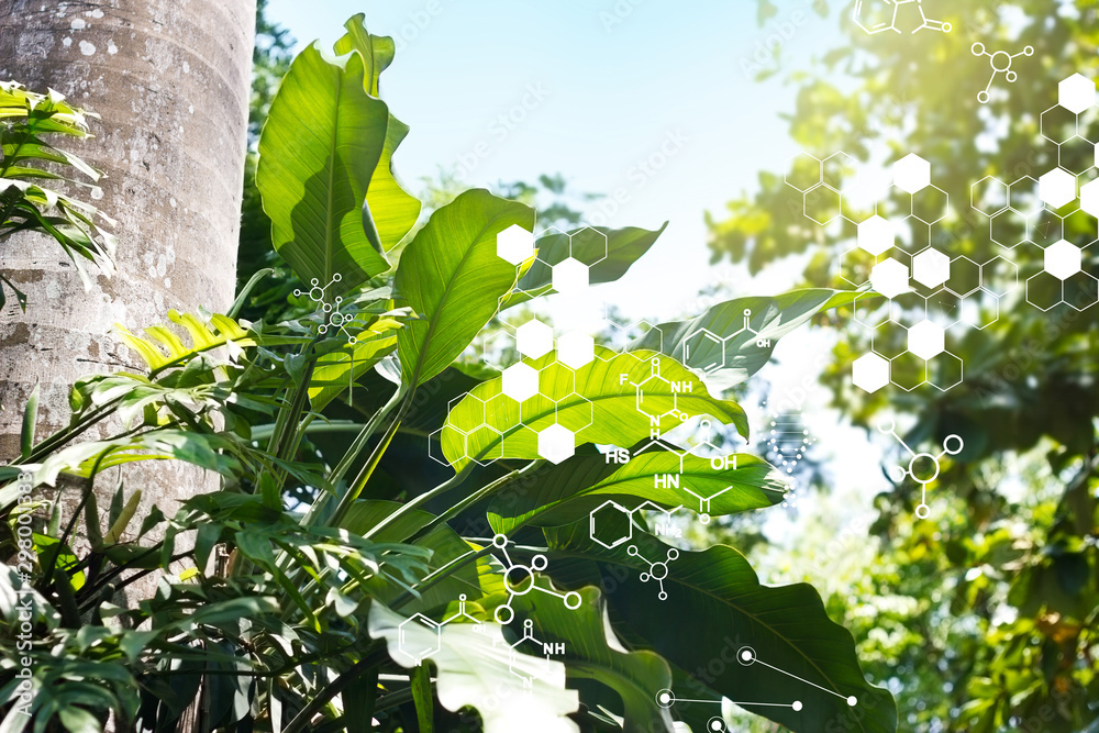 Biology laboratory nature and science, Plants with biochemistry ...