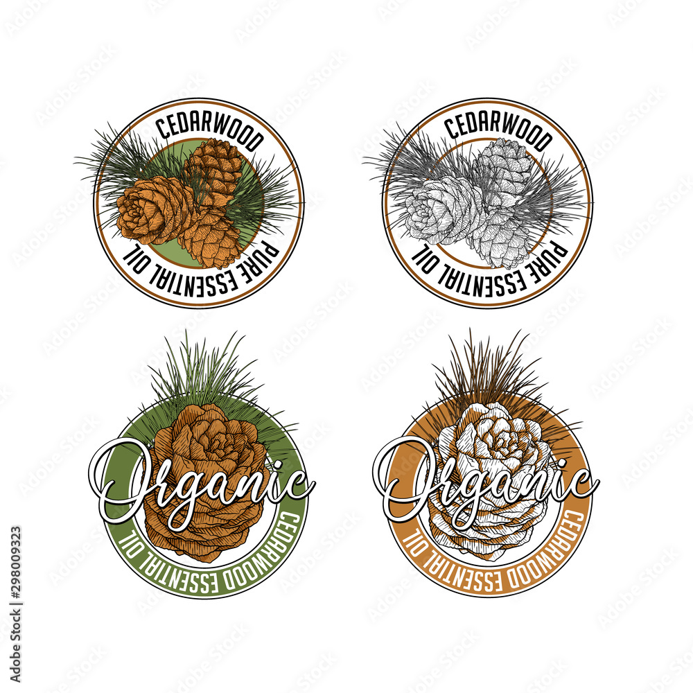 Cedarwood badge stamp label design set. Illustration of cedar cone with ...
