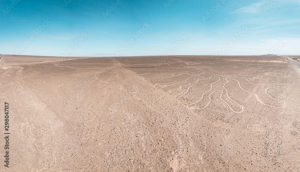 Nazca Lines in the desert of Peru, mystical signs geoglyphs in the sand ...