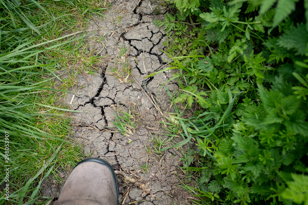 Detailed view of heaving cracking on a nature trail and footpath ...