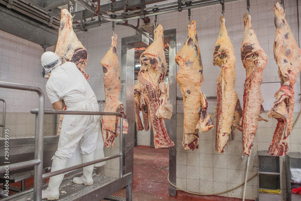 Back view of well equipped worker in white uniform and helmet cutting ...