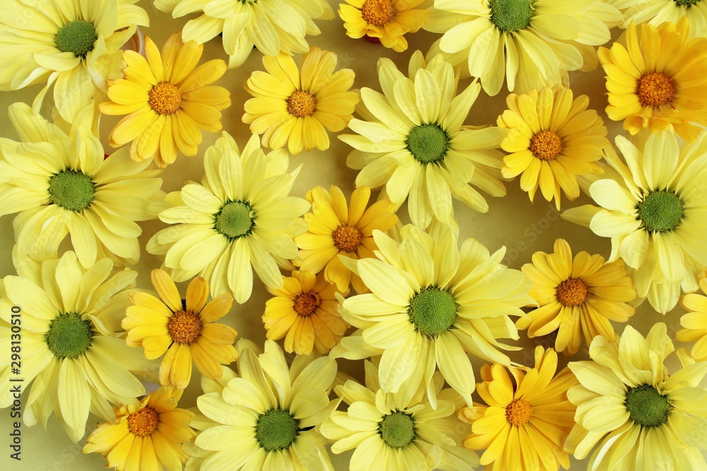 Yellow flowers. Bright floral arrangement of yellow daisies and ...