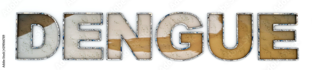 Warning dengue fever sign with mosquitos. Water pool dirt. 3d render ...