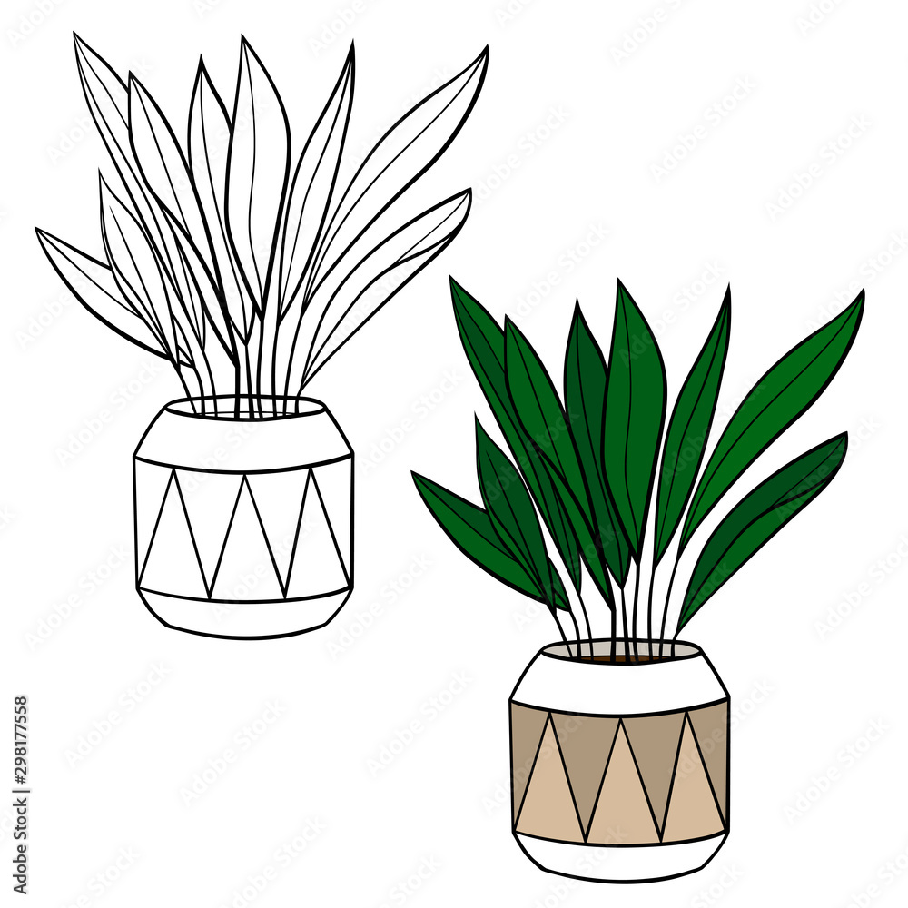 A picture of a house plant in a planter. Vector outline illustration ...