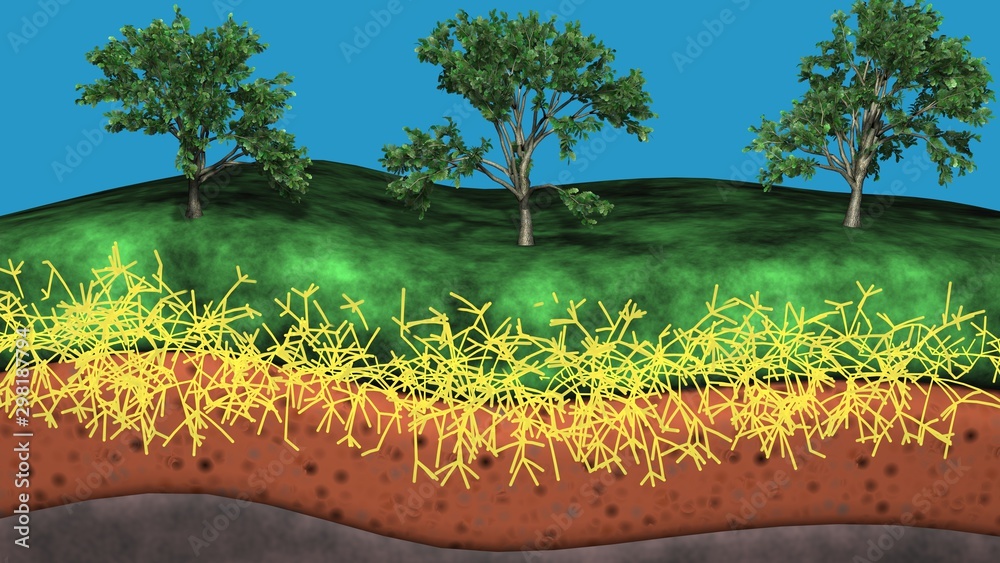Mycelium network , fungal root system growing underground . Trees on grass. 3d rendering Stock ...