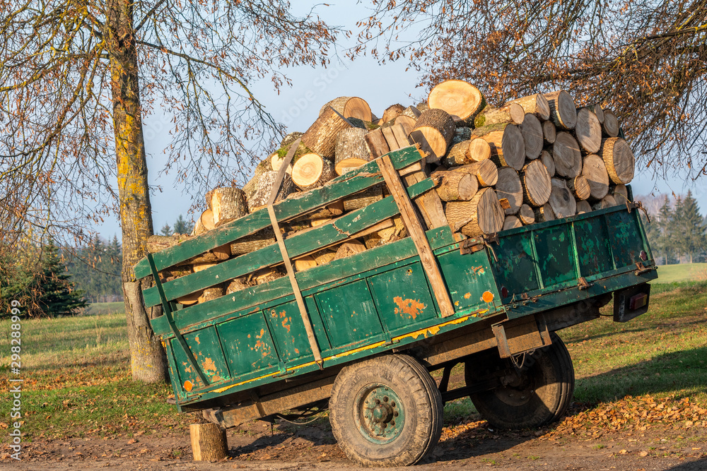 Trailer full of fresh cut hardwood for your fireplace or wood stove ...