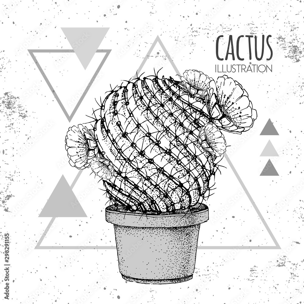Hand drawing cactus vector illustration on grunge triangle background ...