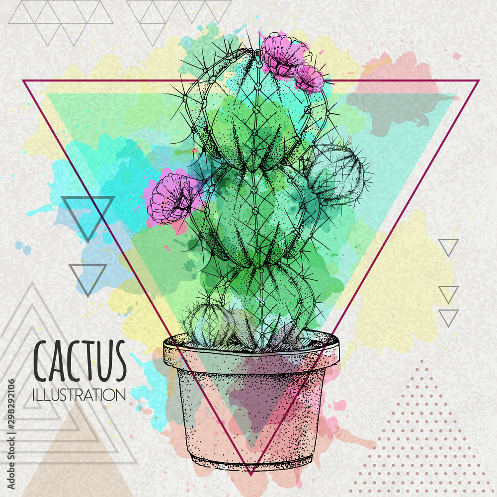 Hand drawing cactus vector illustration on artistic watercolor triangle ...