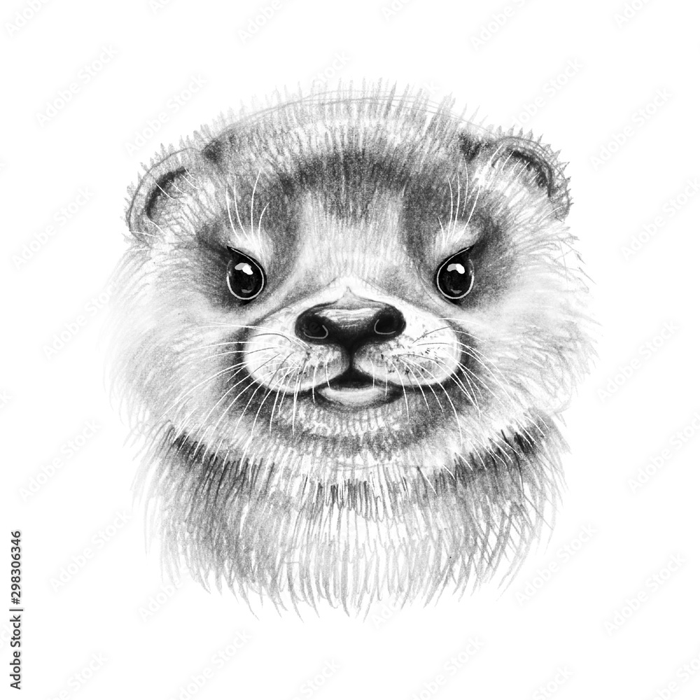 Hand Drawn Cartoon River Otter Cub Stock Illustration | Adobe Stock