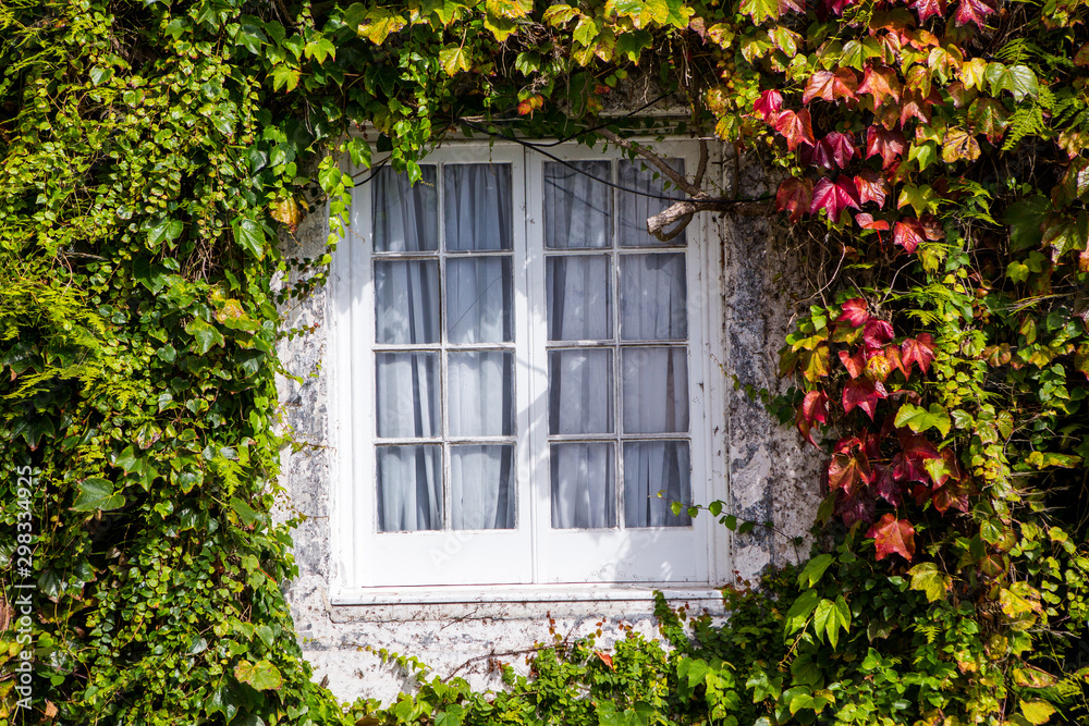 Green wall in a sustainable building, with vertical garden in the ...