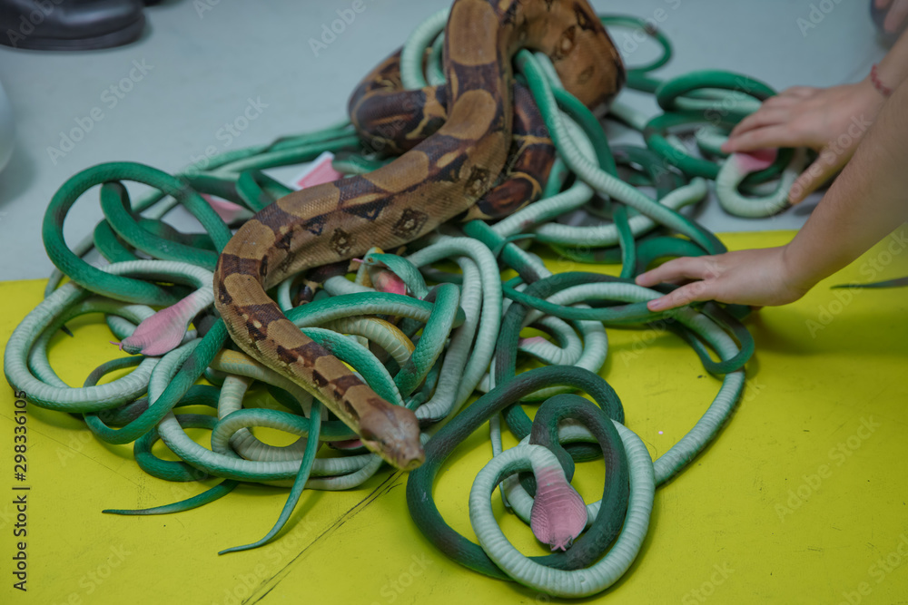 Green feather snakes. A snake with a gray spit . artificial and real ...